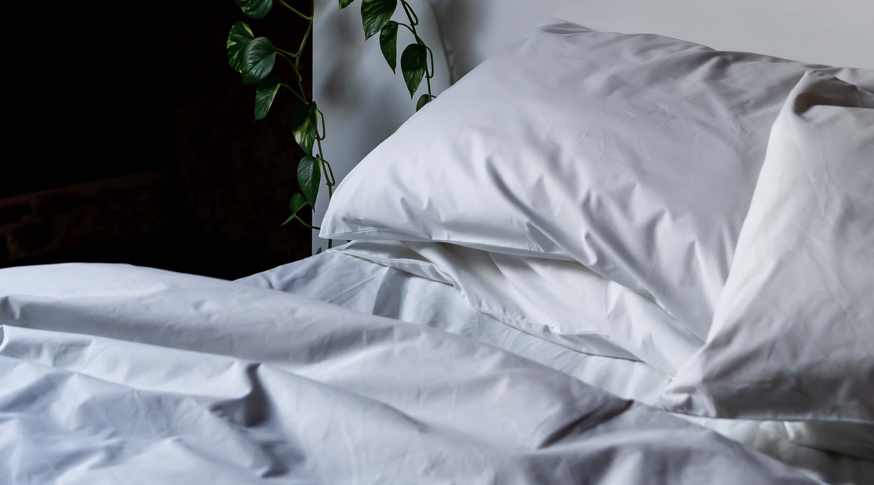 Introducing: Thick and Crisp Heavy Cotton Sheets - The Good Sheet
